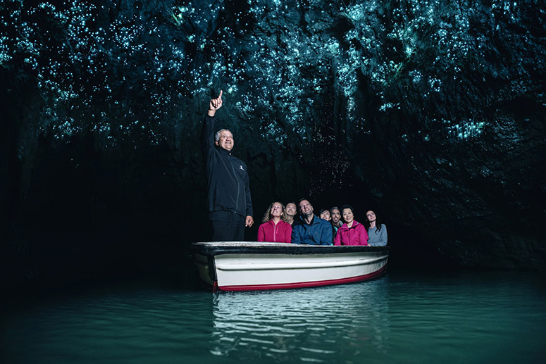 Hobbiton & Waitomo Caves Small Group Tour from Auckland including Lunch ...
